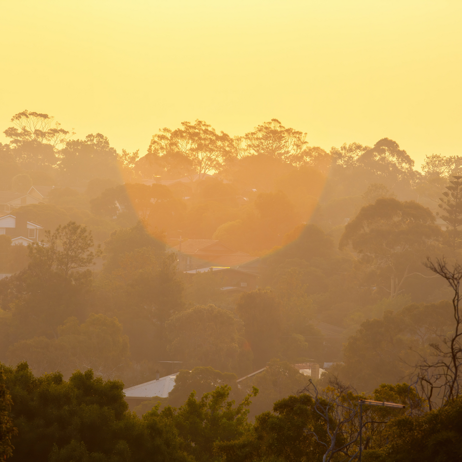 Emberguard™ – Cyclone Screening