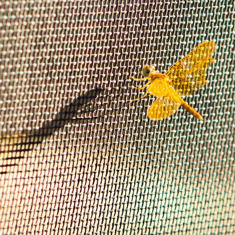 Insect Protection – Cyclone Screening