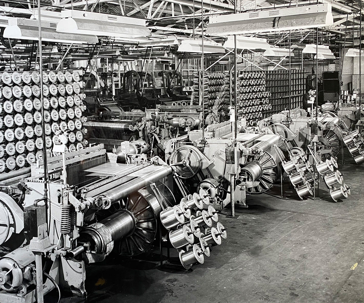 Our Story – Cyclone Screening